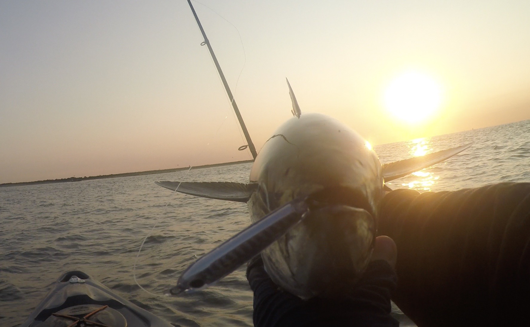 Cape Cod Fishing Report- September 22, 2022 - On The Water