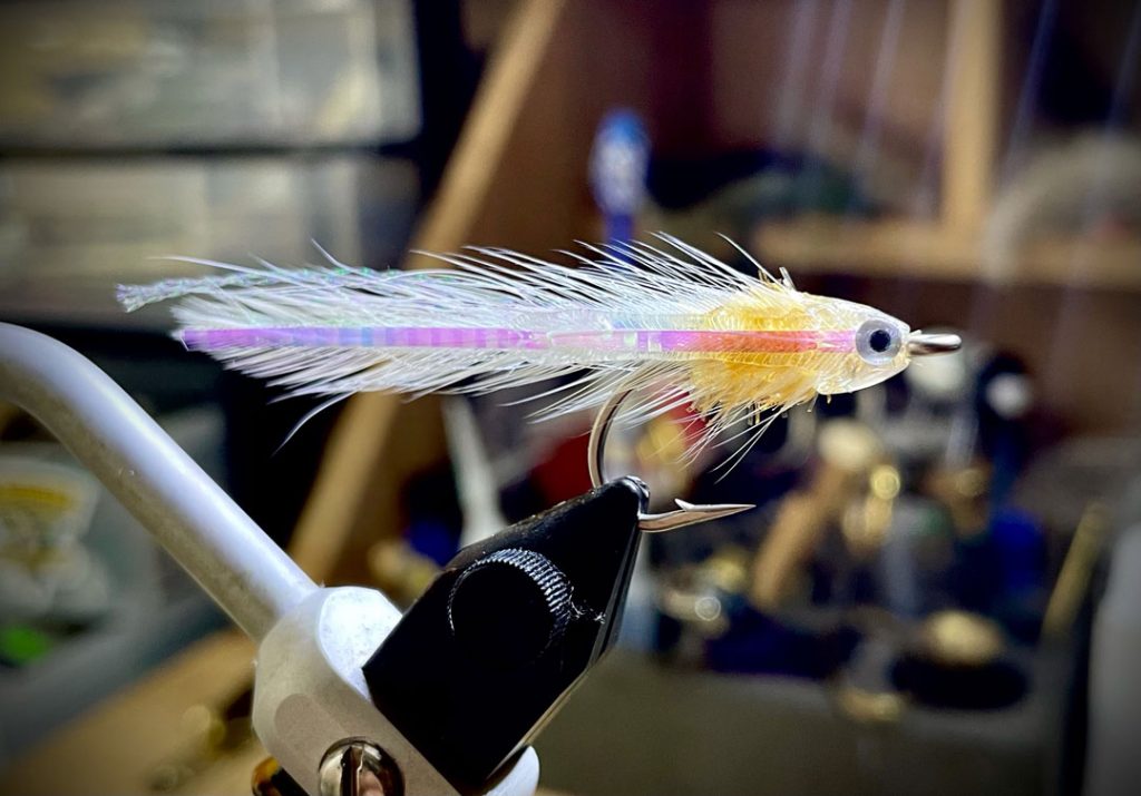 Albies On The Fly - On The Water