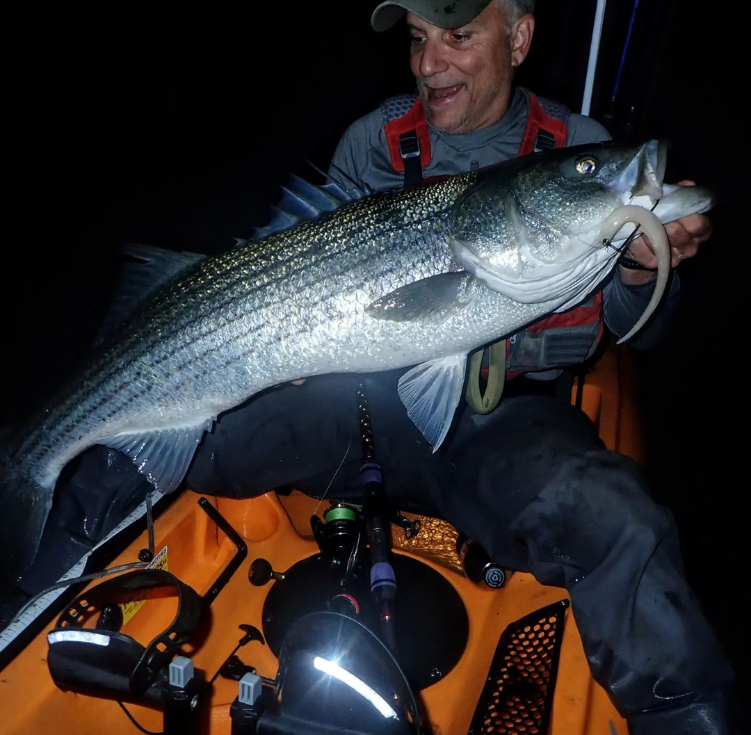 Where to Fish for Striped Bass During the Fall Run - On The Water