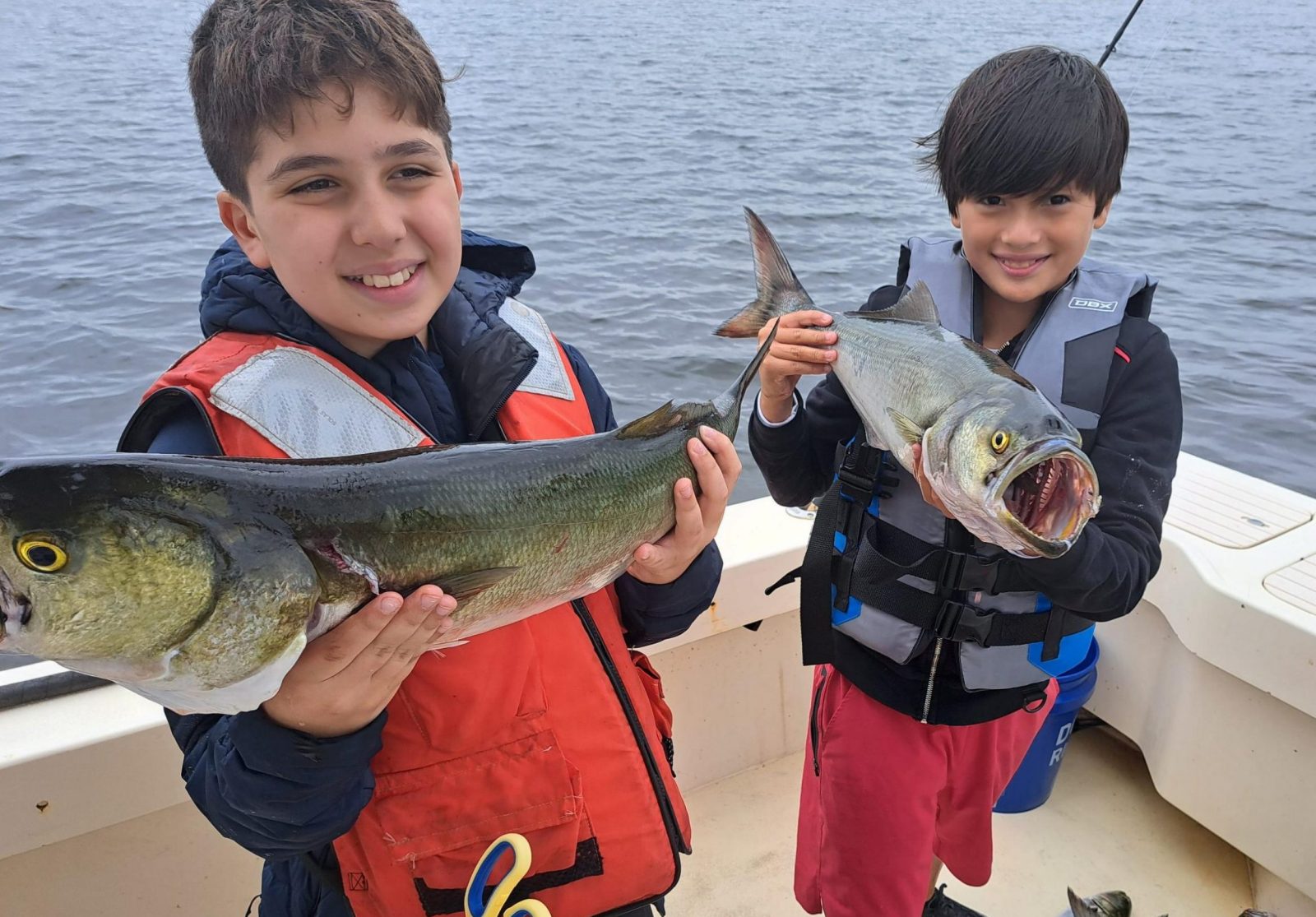 Western Long Island Fishing Report- September 15, 2022 - On The Water