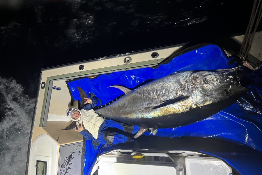 800-Pound Giant Bluefin Tuna Caught South of Newport - On The Water