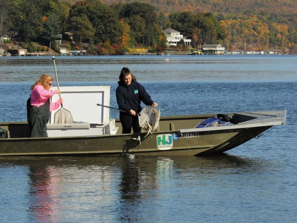 New Jersey Fish and Wildlife Completes Musky Stocking for 2022 - On The ...