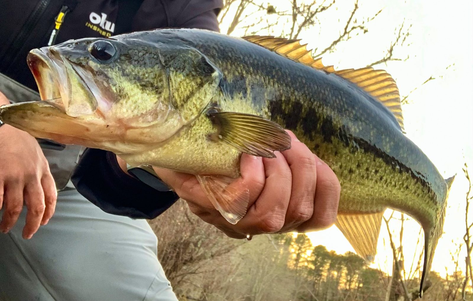 Pre-Freeze Winter Bass Fishing: Baits and Tactics - On The Water