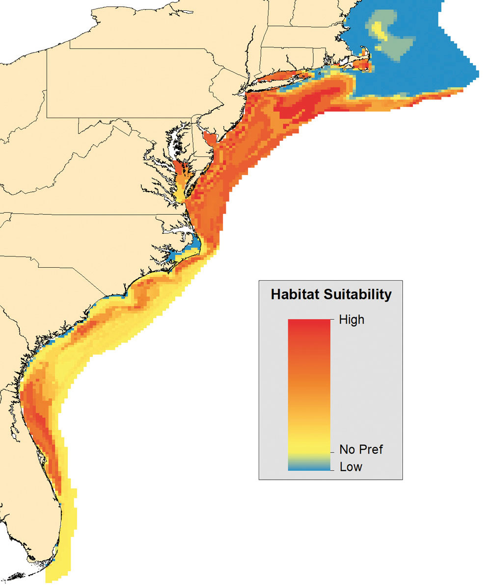 Cobia Road Trip - On The Water