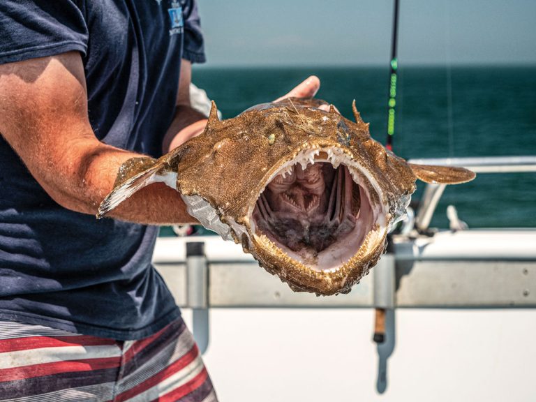 Monkfish - The Sea’s Most Delicious Monster - On The Water