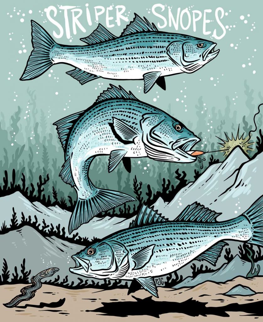 Striper Myths - On The Water