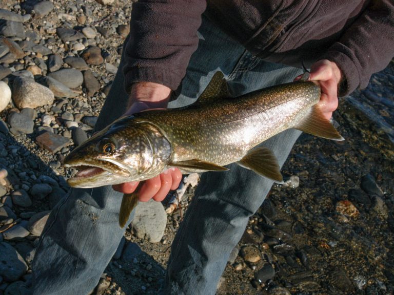 How To Find and Catch Lake Trout From Shore in the Northeast - On The Water