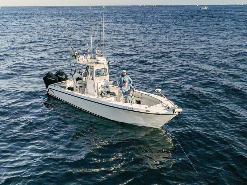 Big Bluefin Tuna Behavior - On The Water