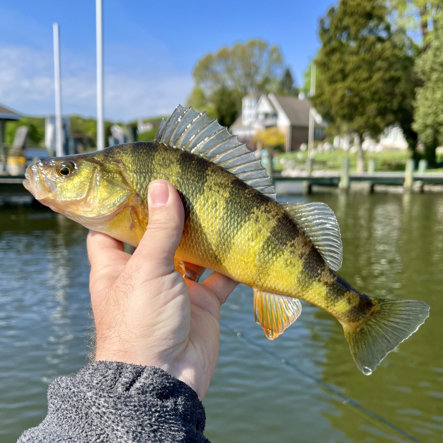 Maryland & Chesapeake Bay Fishing Report- April 27, 2023 - On The Water