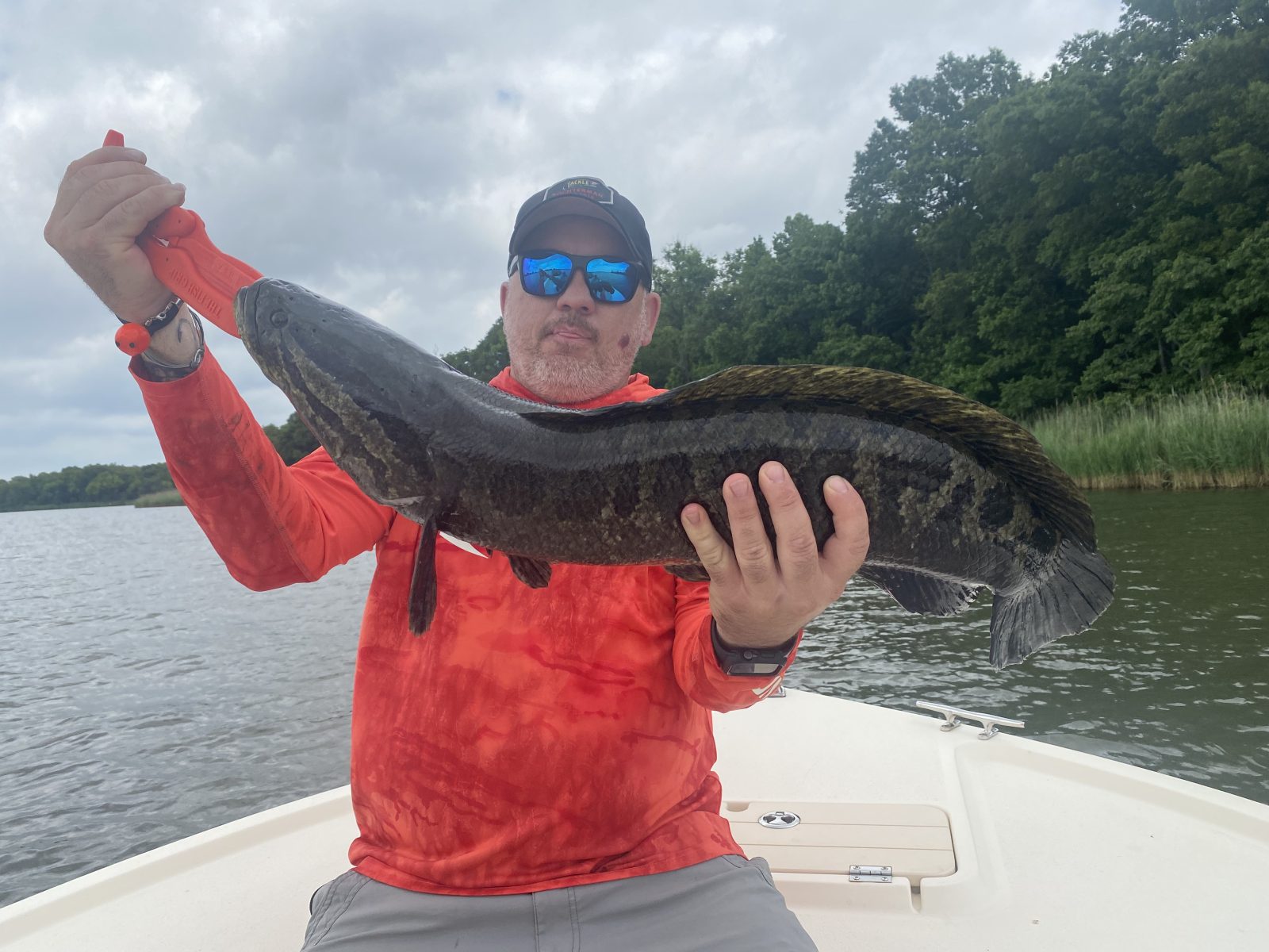 Maryland & Chesapeake Bay Fishing Report- May 25, 2023 - On The Water