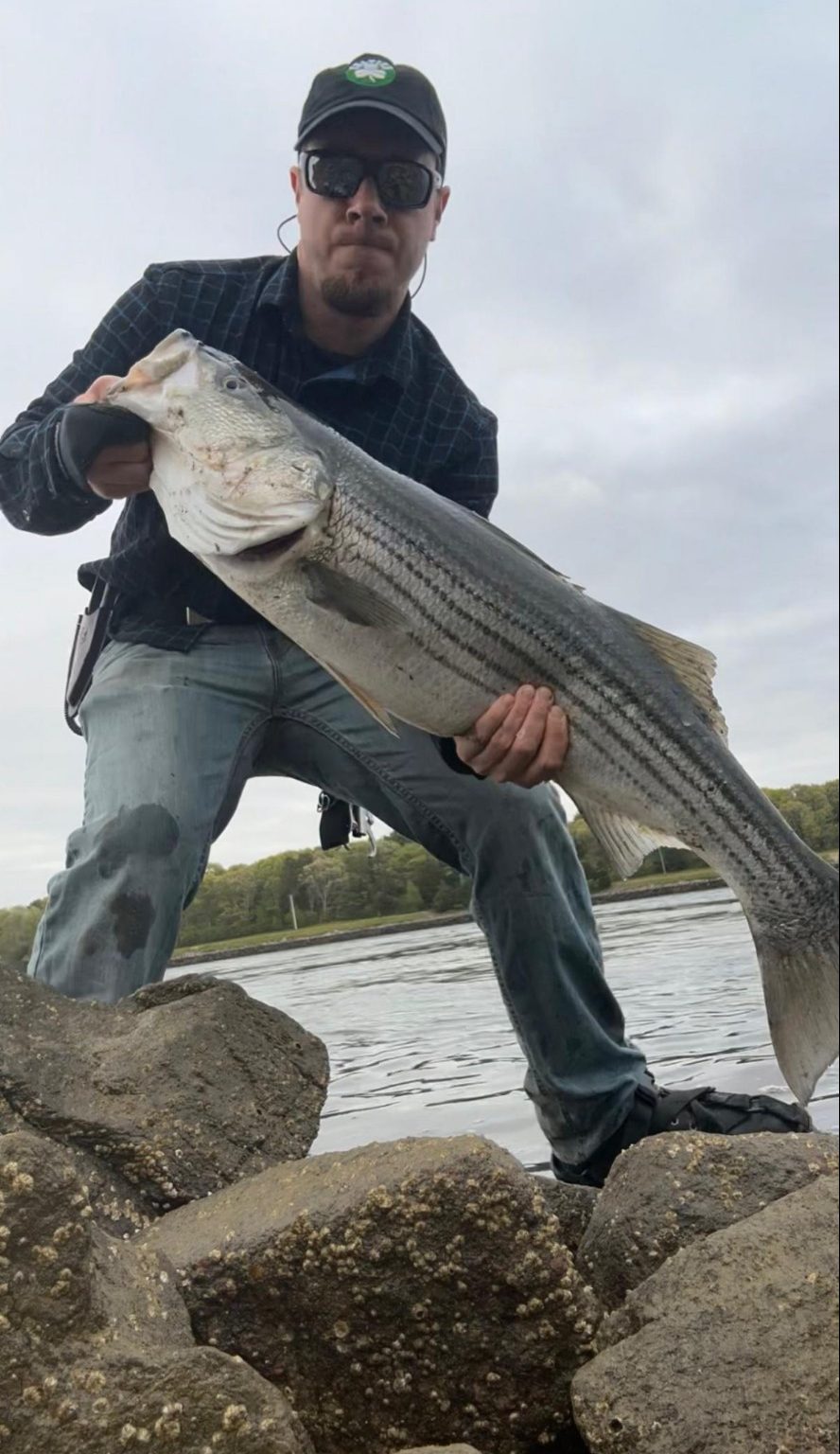 Cape Cod Fishing Report- May 25, 2023 - On The Water