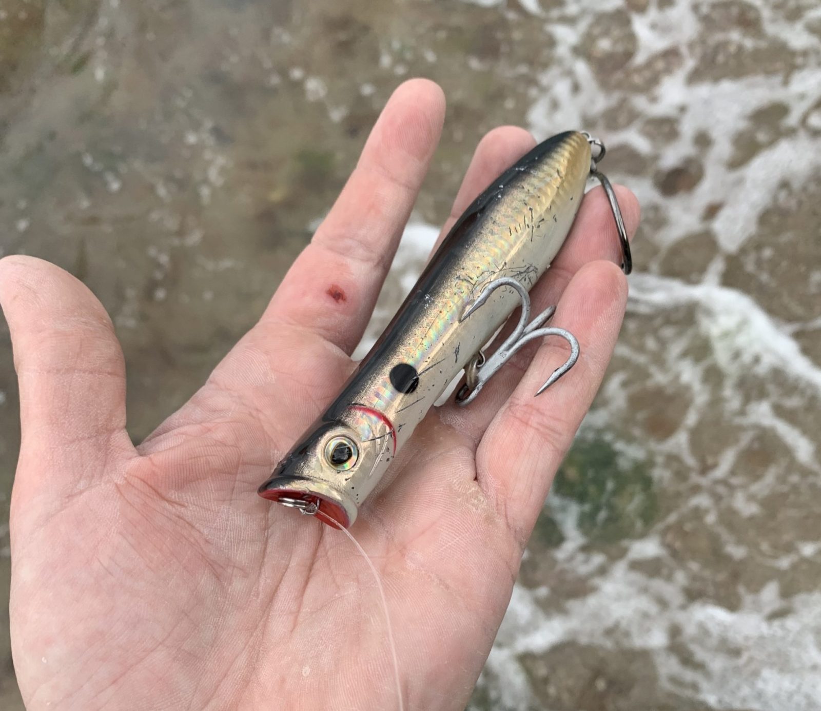 Essential Plugs for Topwater Bluefish - On The Water