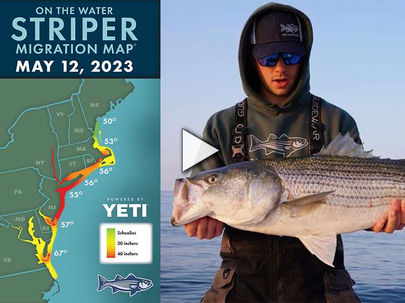 Striper Migration Report: May 12, 2023 - On The Water