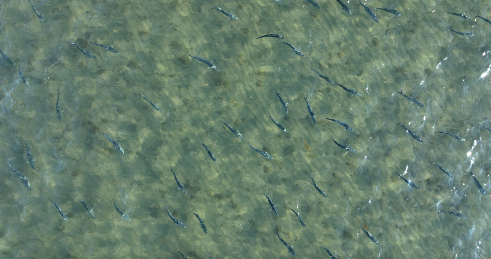 Eastern Long Island Fishing Report- May 11, 2023 - On The Water