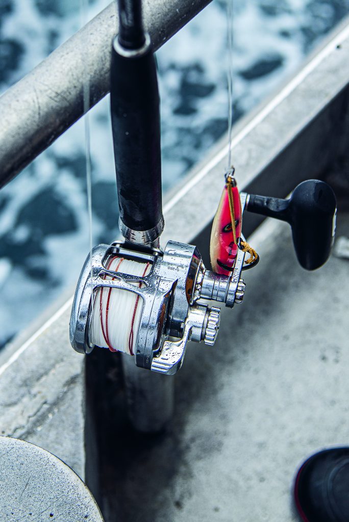 Tuna At the Rail - On The Water