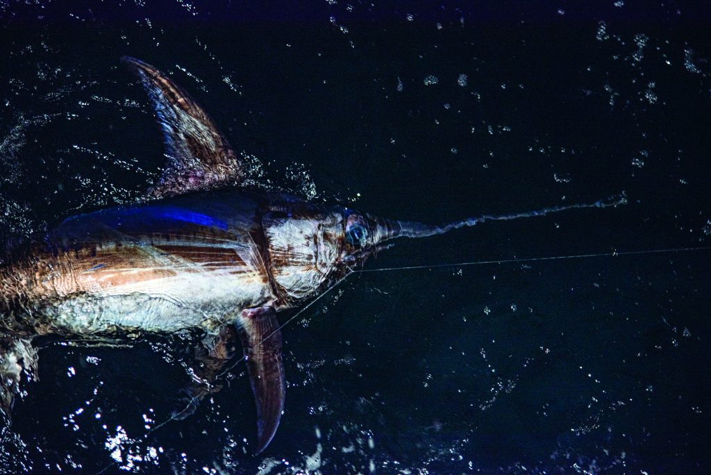 Tuna At the Rail - On The Water