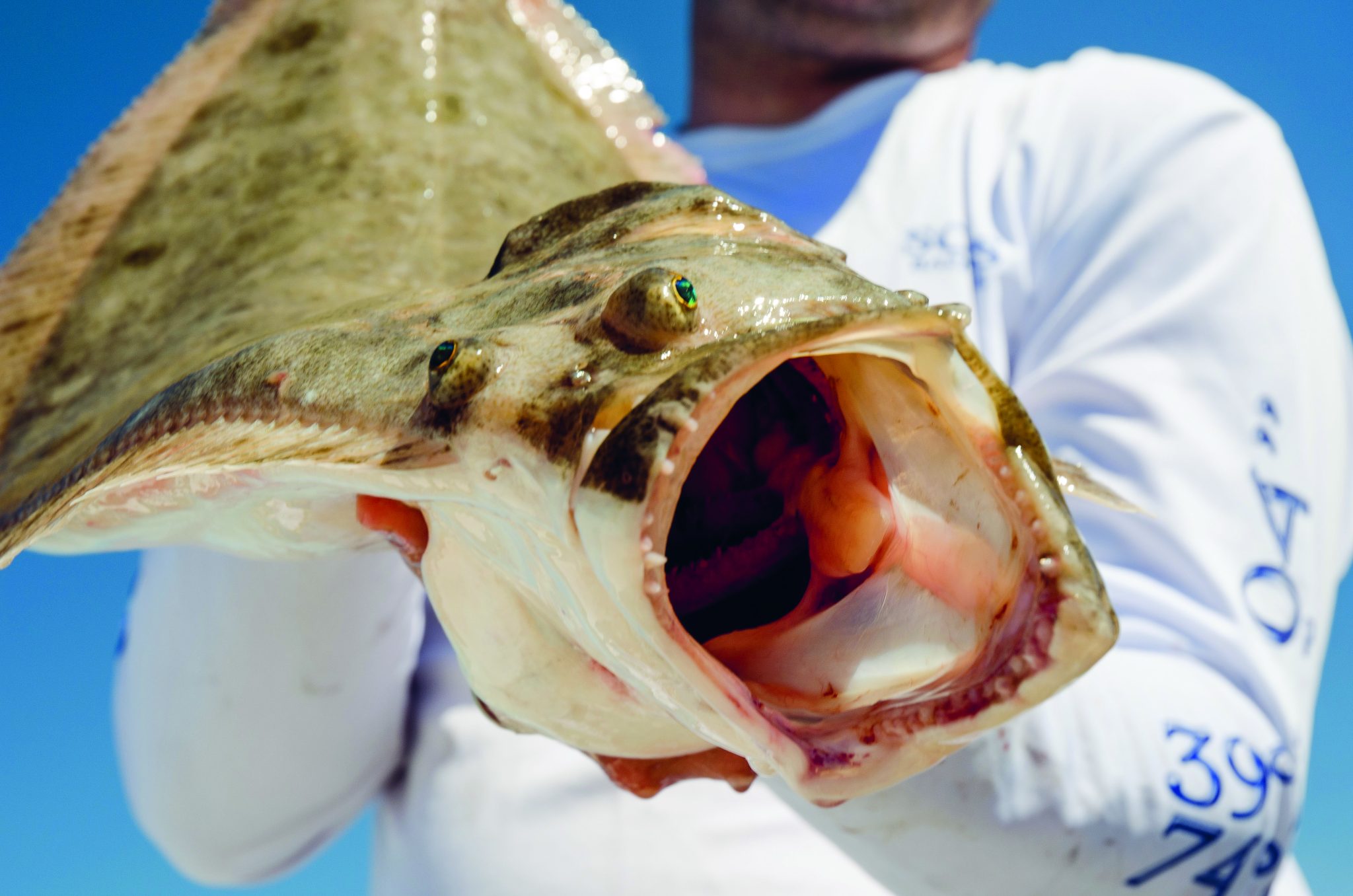 10 Reasons You Haven't Caught a Doormat Fluke - On The Water