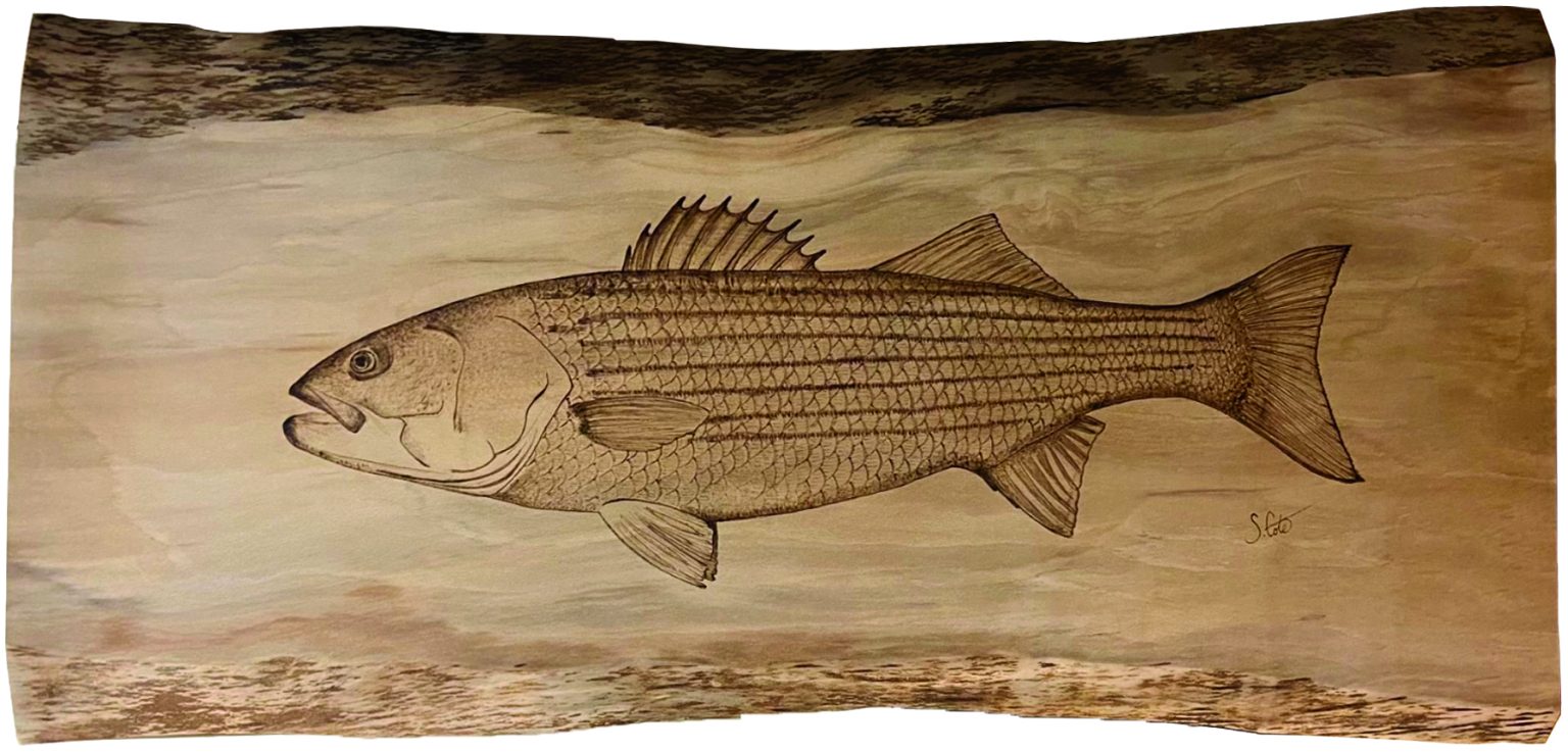 Angling Artist: Steve Cote - On The Water