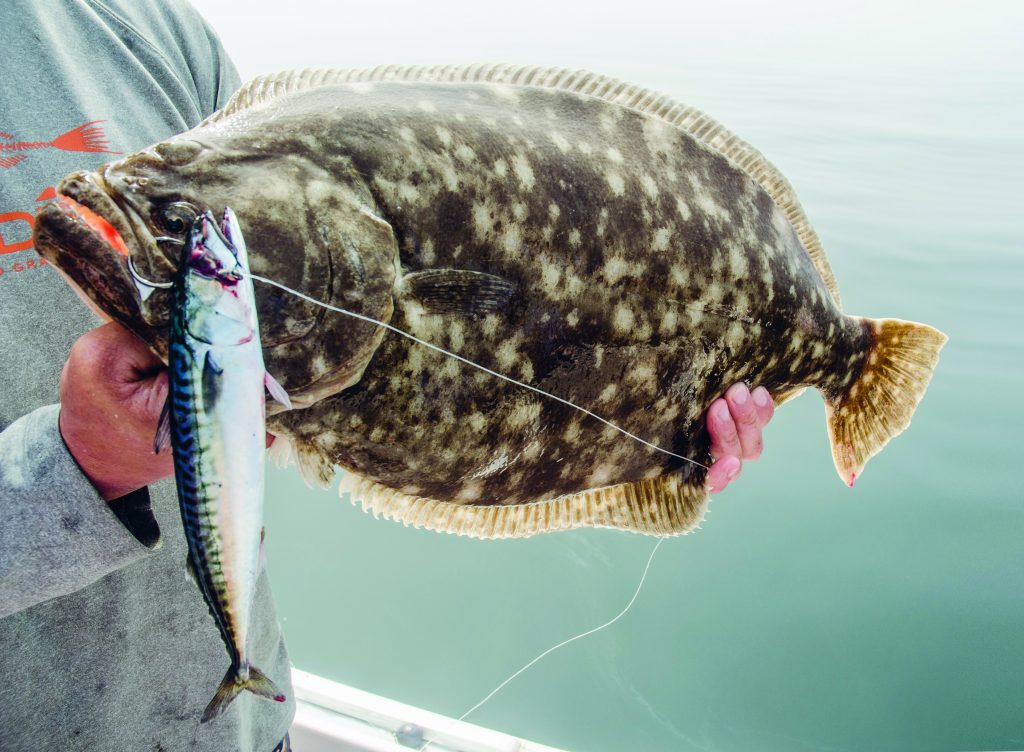 10 Reasons You Haven't Caught a Doormat Fluke - On The Water