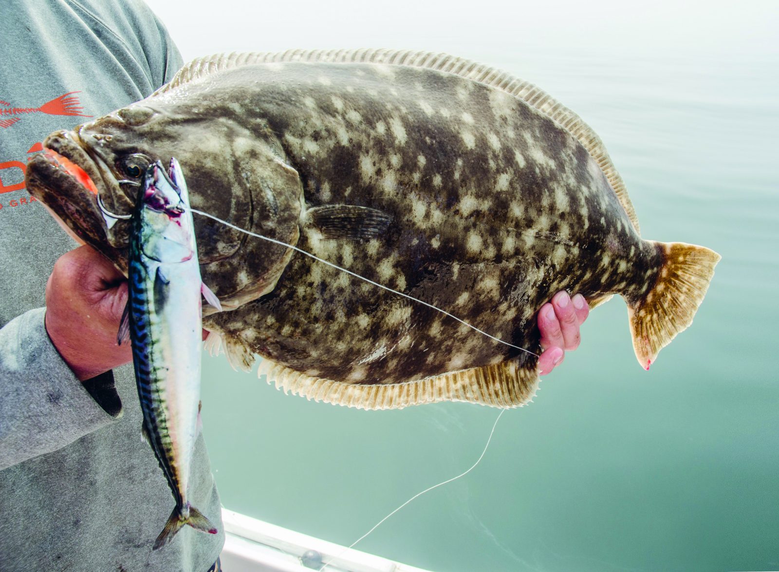 10 Reasons You Haven't Caught a Doormat Fluke - On The Water