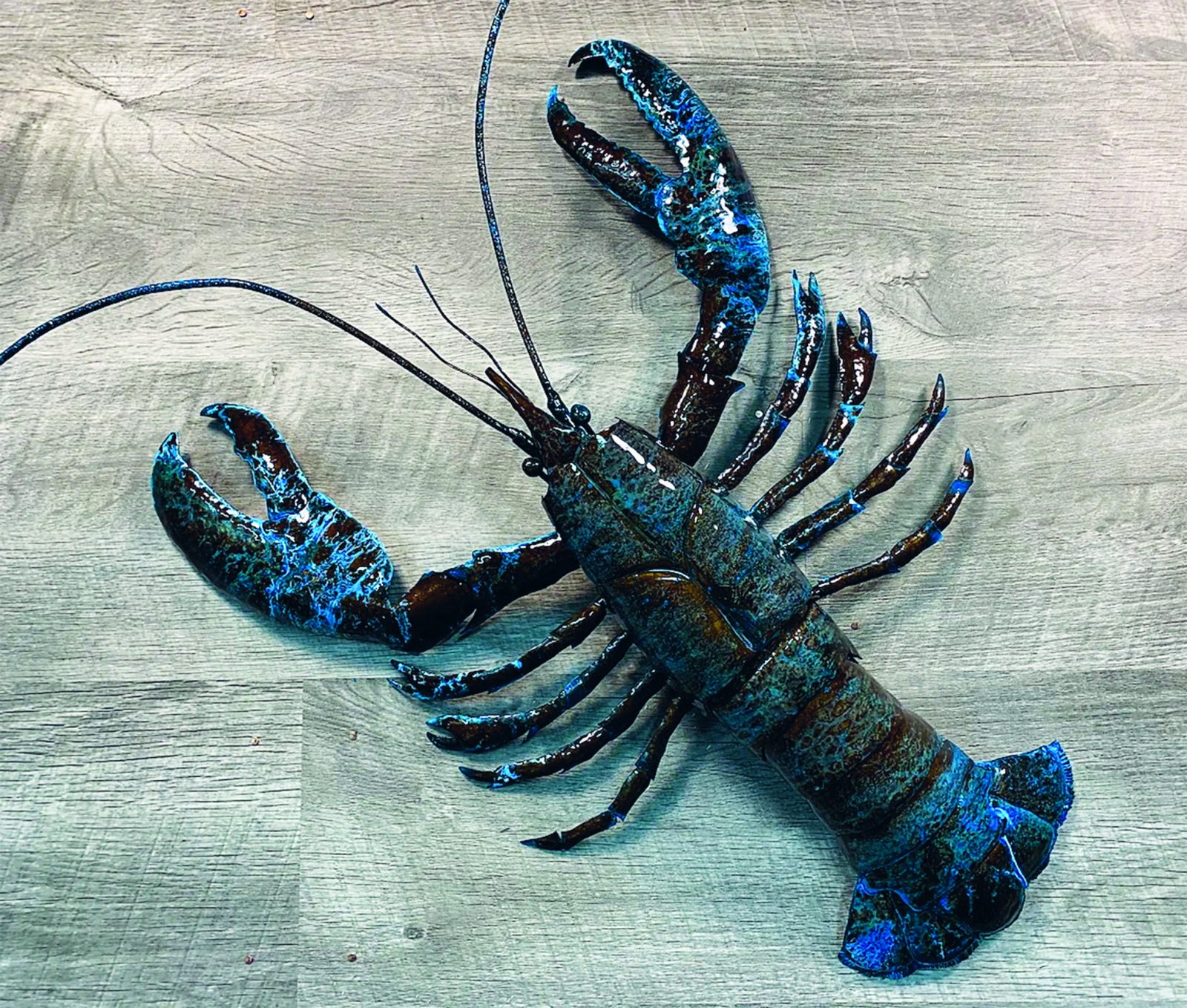 Angling Artist: Joe Pizzolato - On The Water