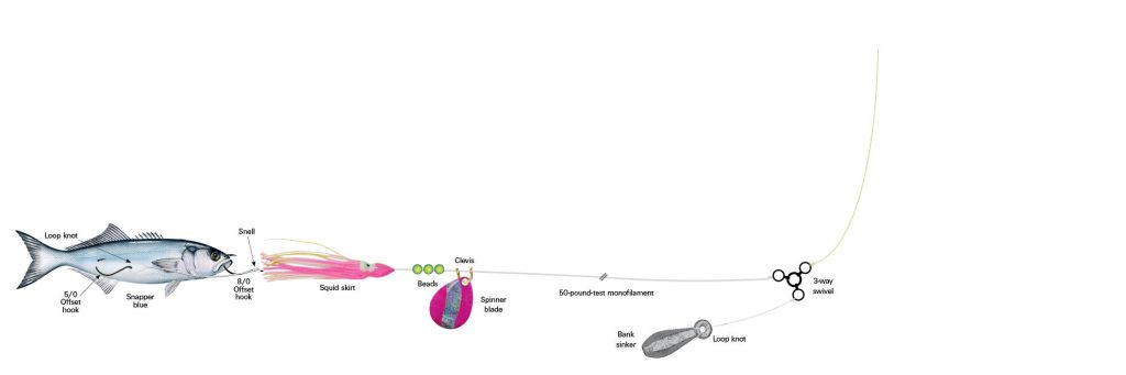 Catch Doormat Fluke with Snapper Bluefish - On The Water