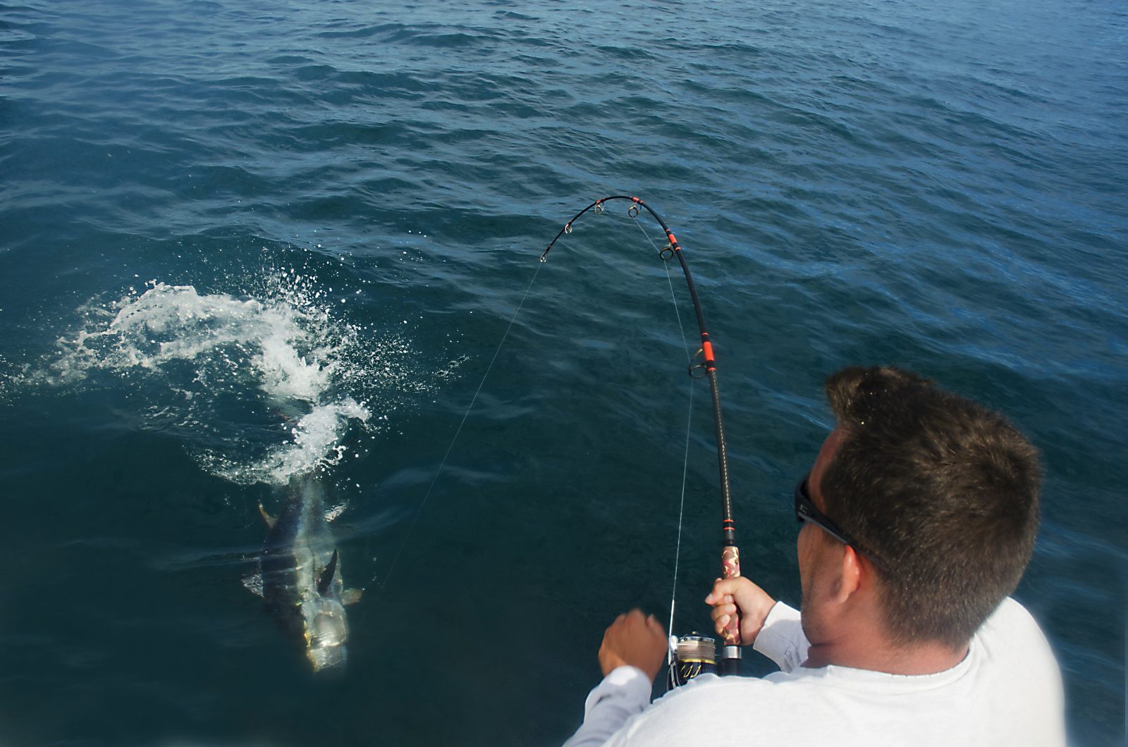 Topwater Popping For Tuna - On The Water