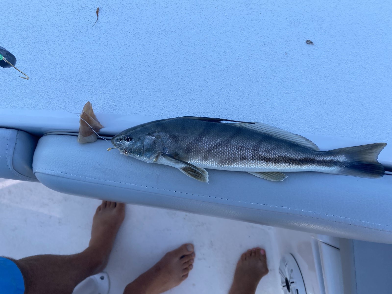 Rhode Island Fishing Report- August 3, 2023 - On The Water