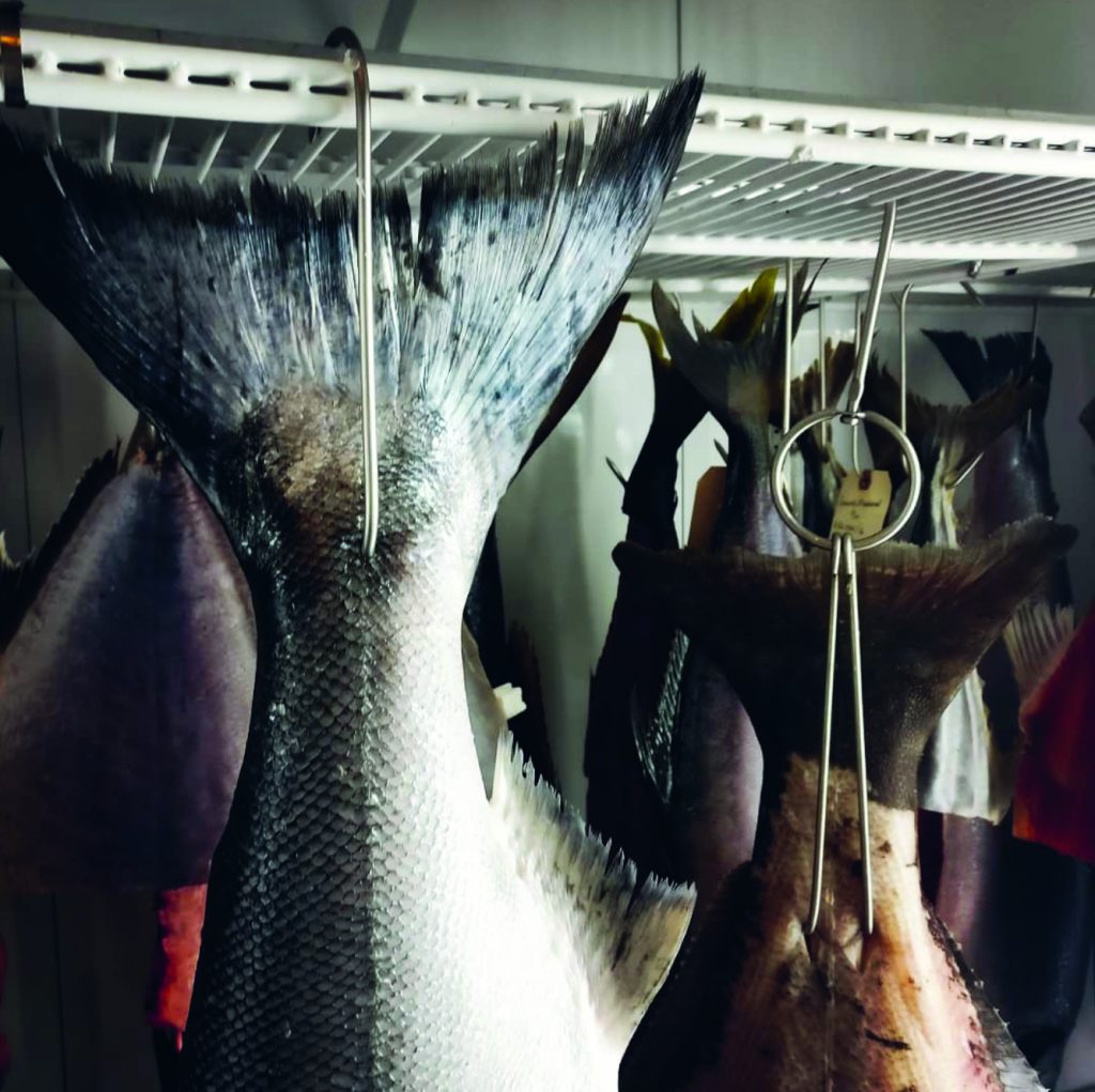 Dry-Aging Fish - On The Water