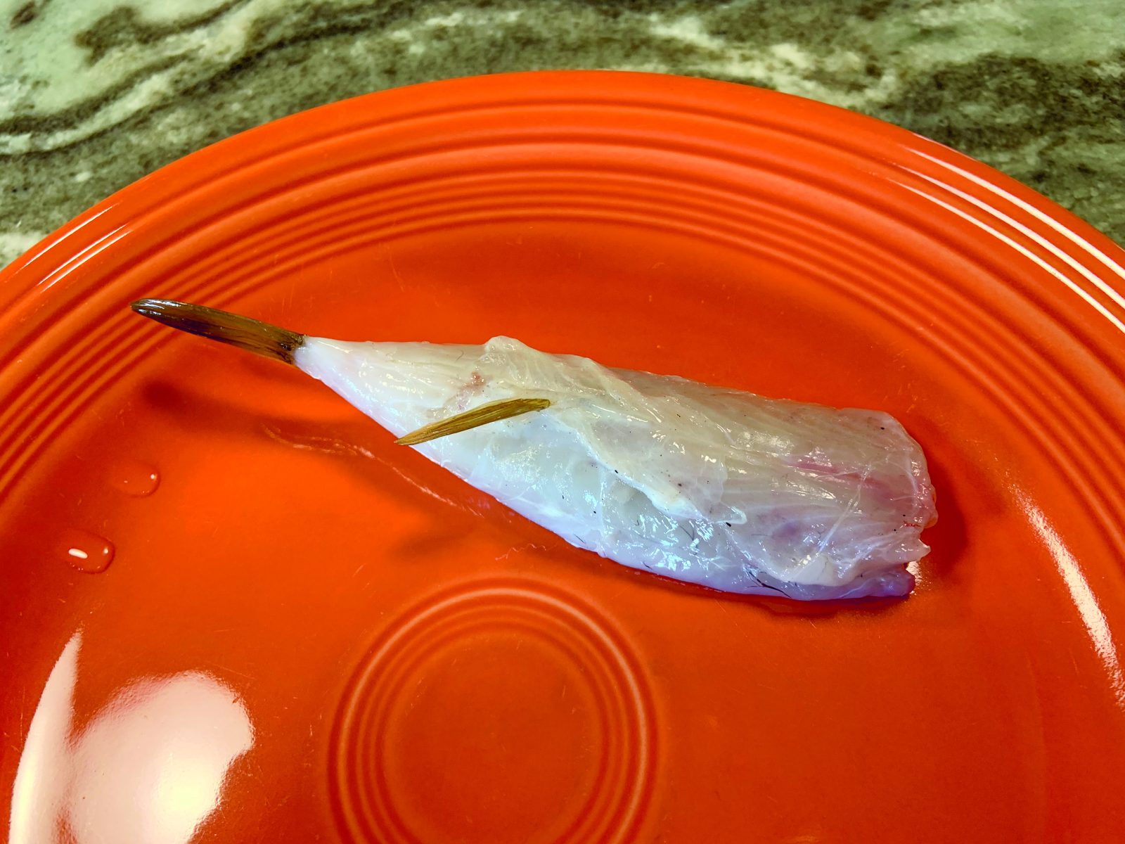 Catch and Cook: Northern Kingfish and Northern Puffer - On The Water