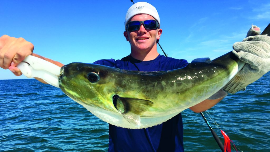 Catch and Cook: Northern Kingfish and Northern Puffer - On The Water