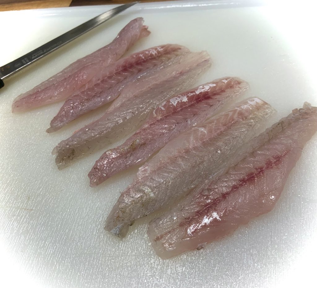 Catch and Cook: Northern Kingfish and Northern Puffer - On The Water