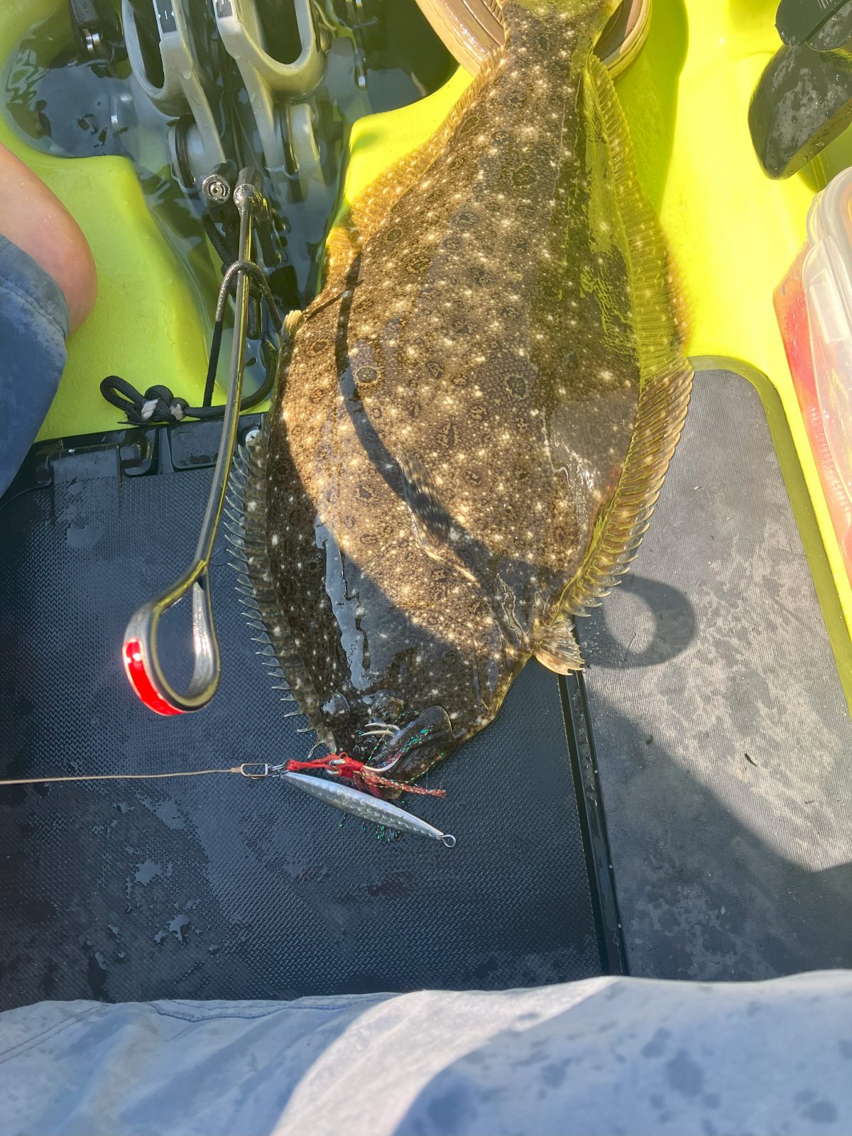 Western Long Island and NYC Fishing Report- August 24, 2023 - On The Water