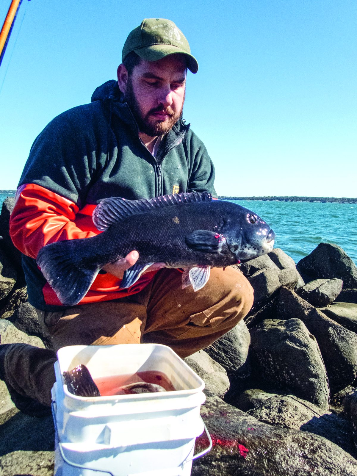 Swimming Shallow with Blackfish - On The Water