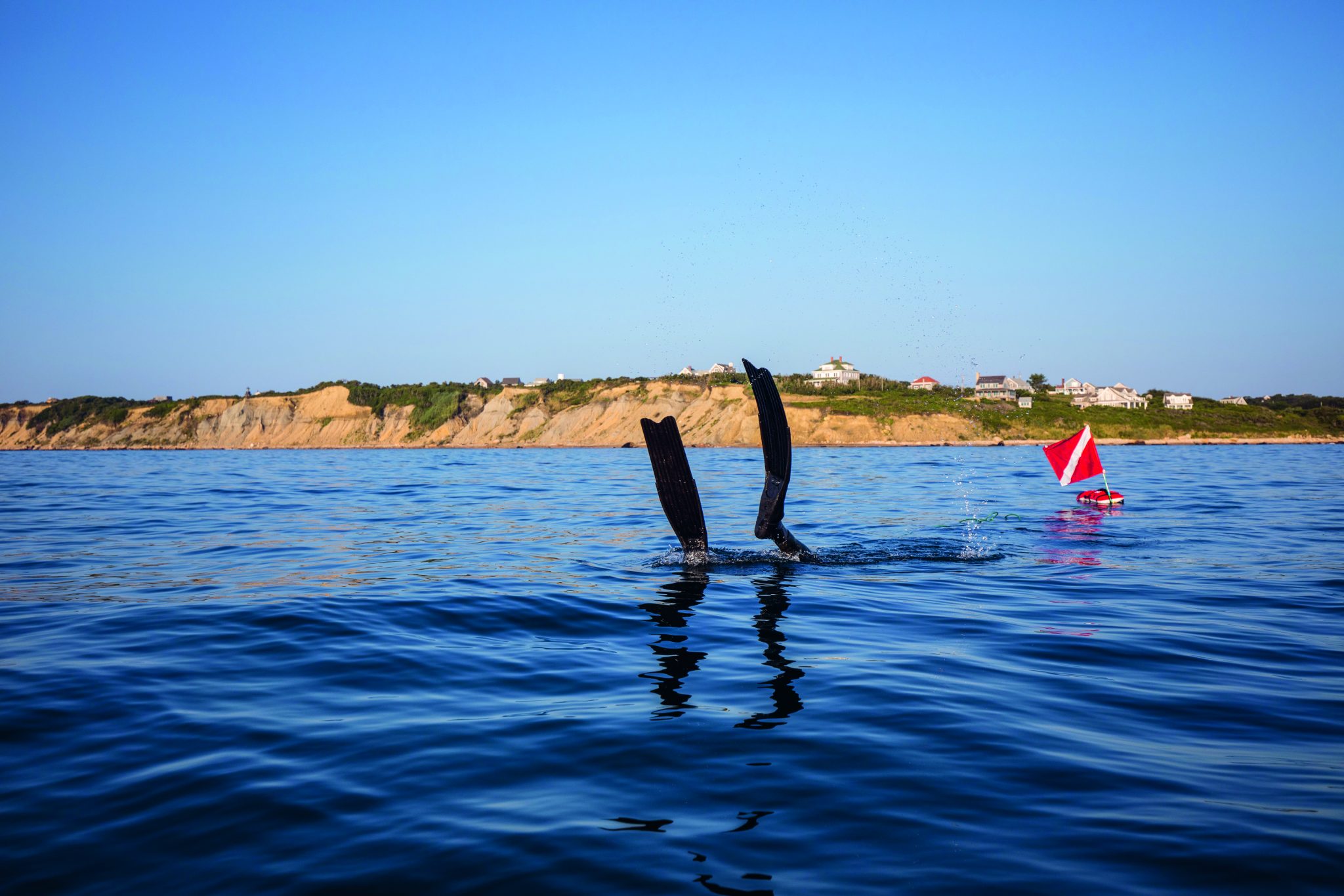 Swimming Shallow with Blackfish - On The Water