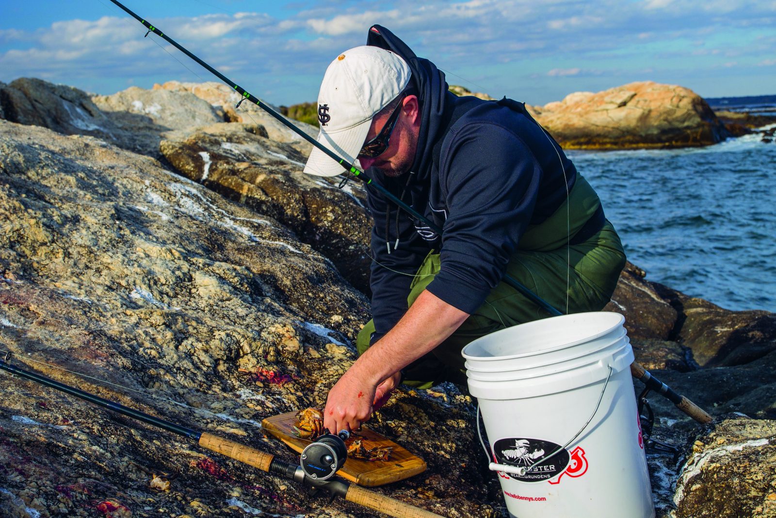 Swimming Shallow with Blackfish - On The Water