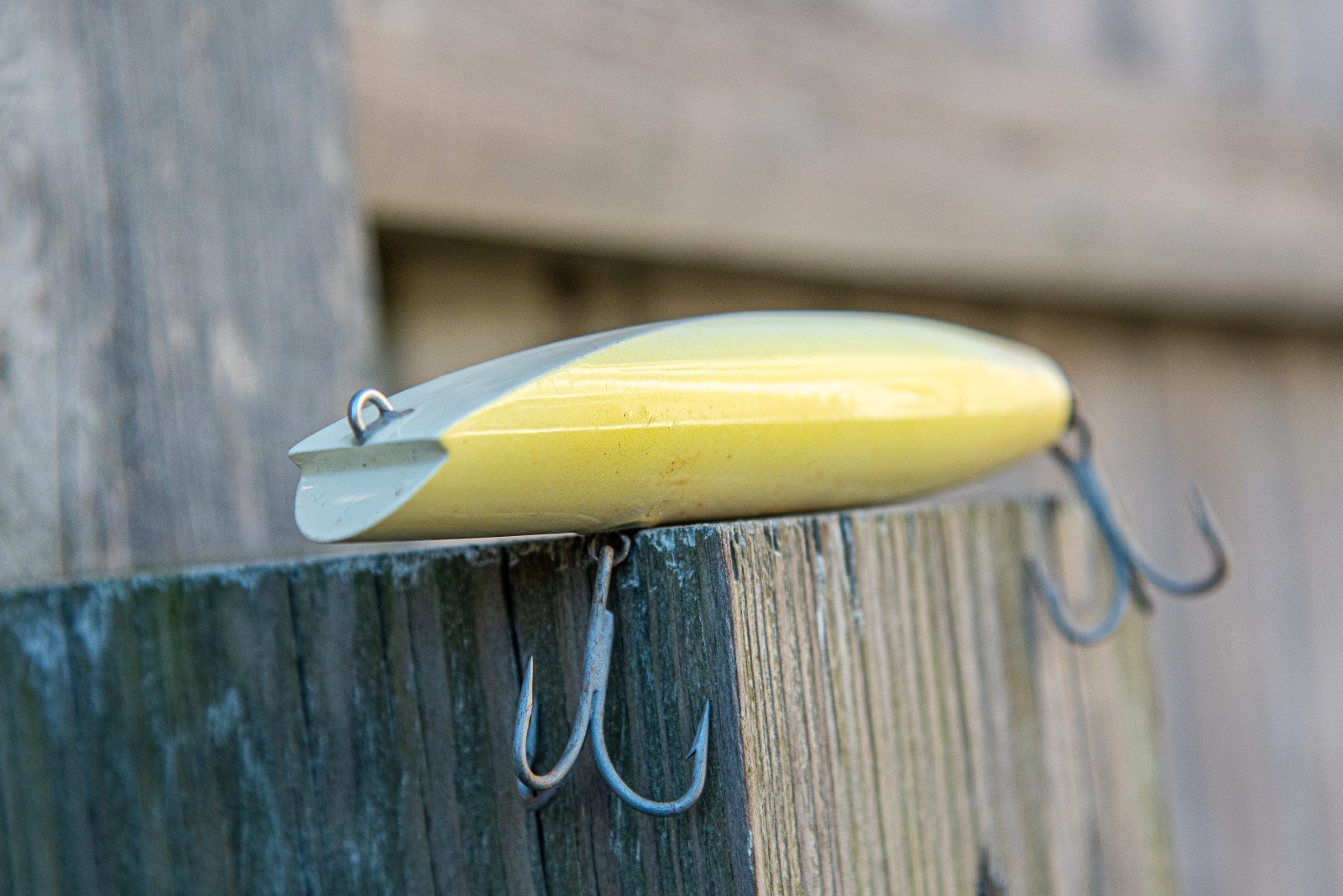 Essential Lures | Fall Run Survival Guide - On The Water