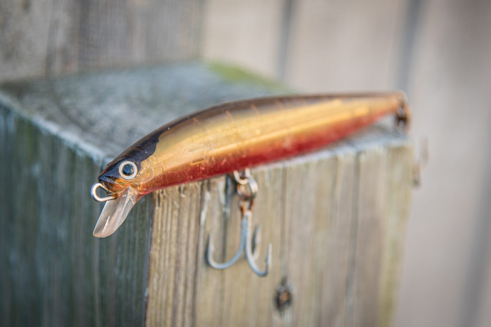 Essential Lures | Fall Run Survival Guide - On The Water