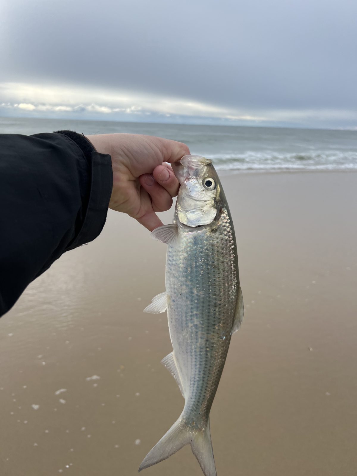 Long Island and NYC Fishing Report- December 7, 2023 - On The Water