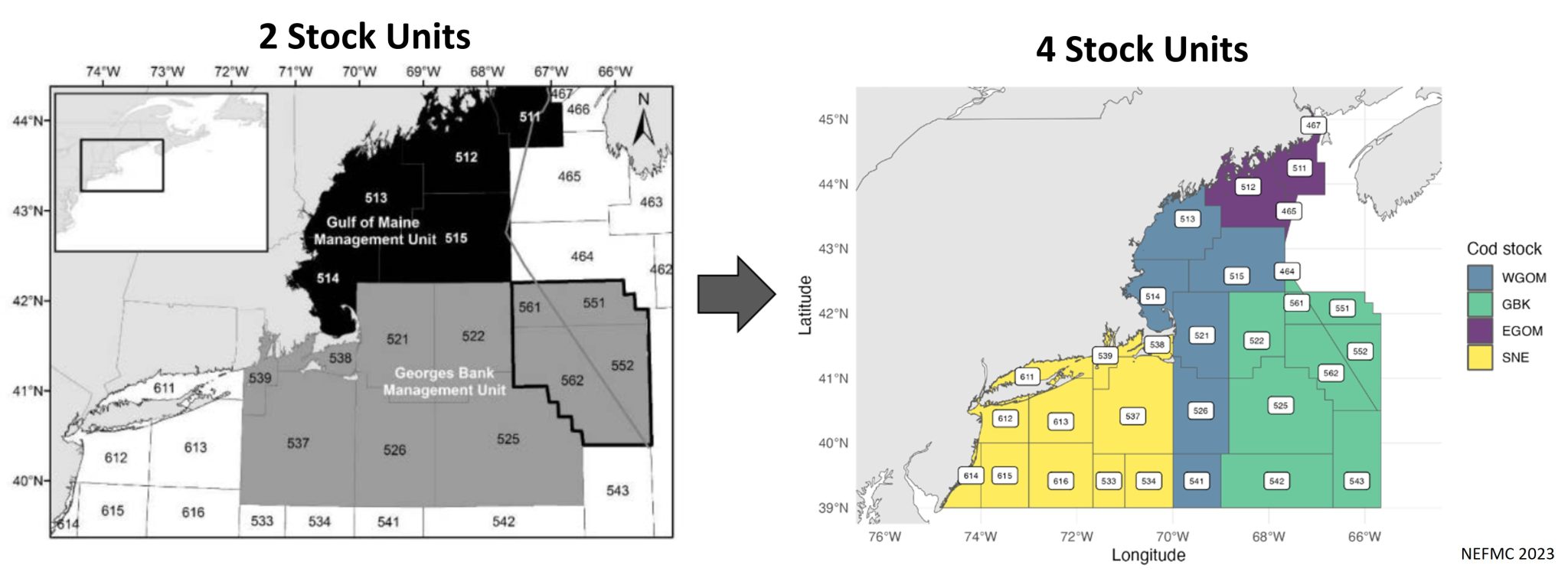 A New Research Initiative Enlists For-Hire Captains to Improve Cod Data ...