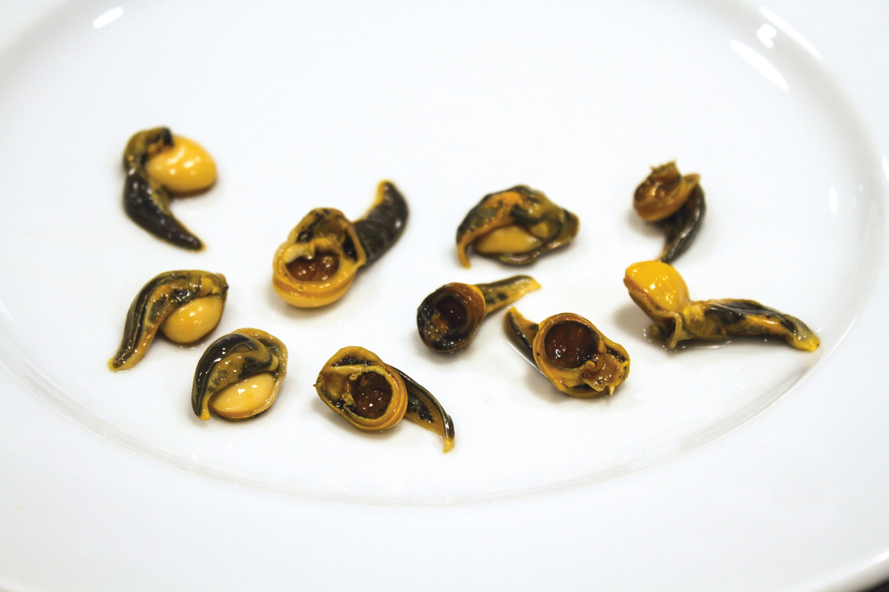 Seafood Oddities: Sweet Meats - On The Water