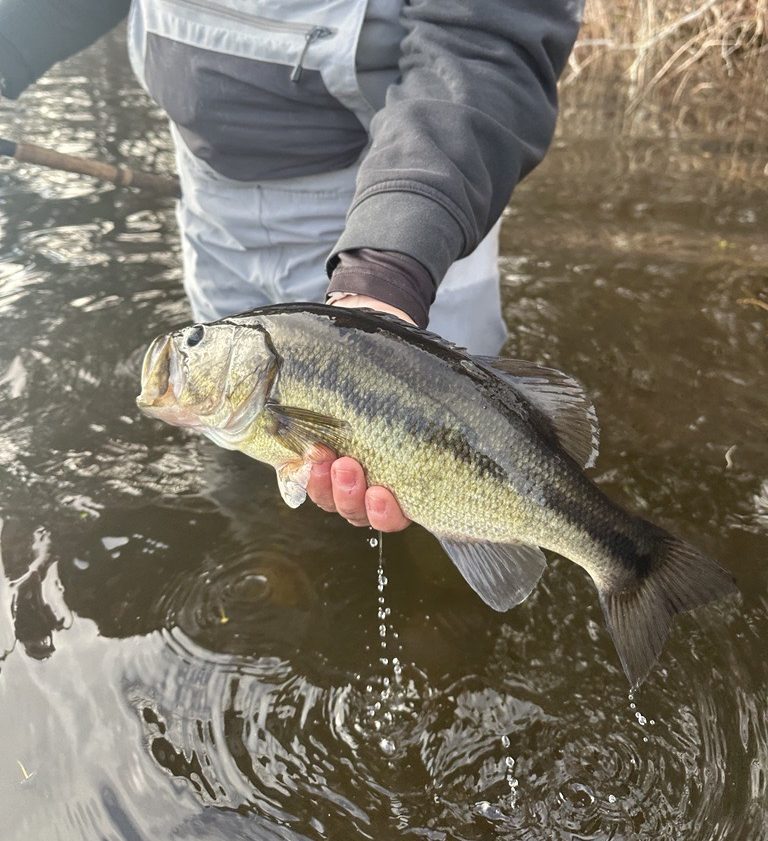 Rhode Island Fishing Report- March 2025 - On The Water