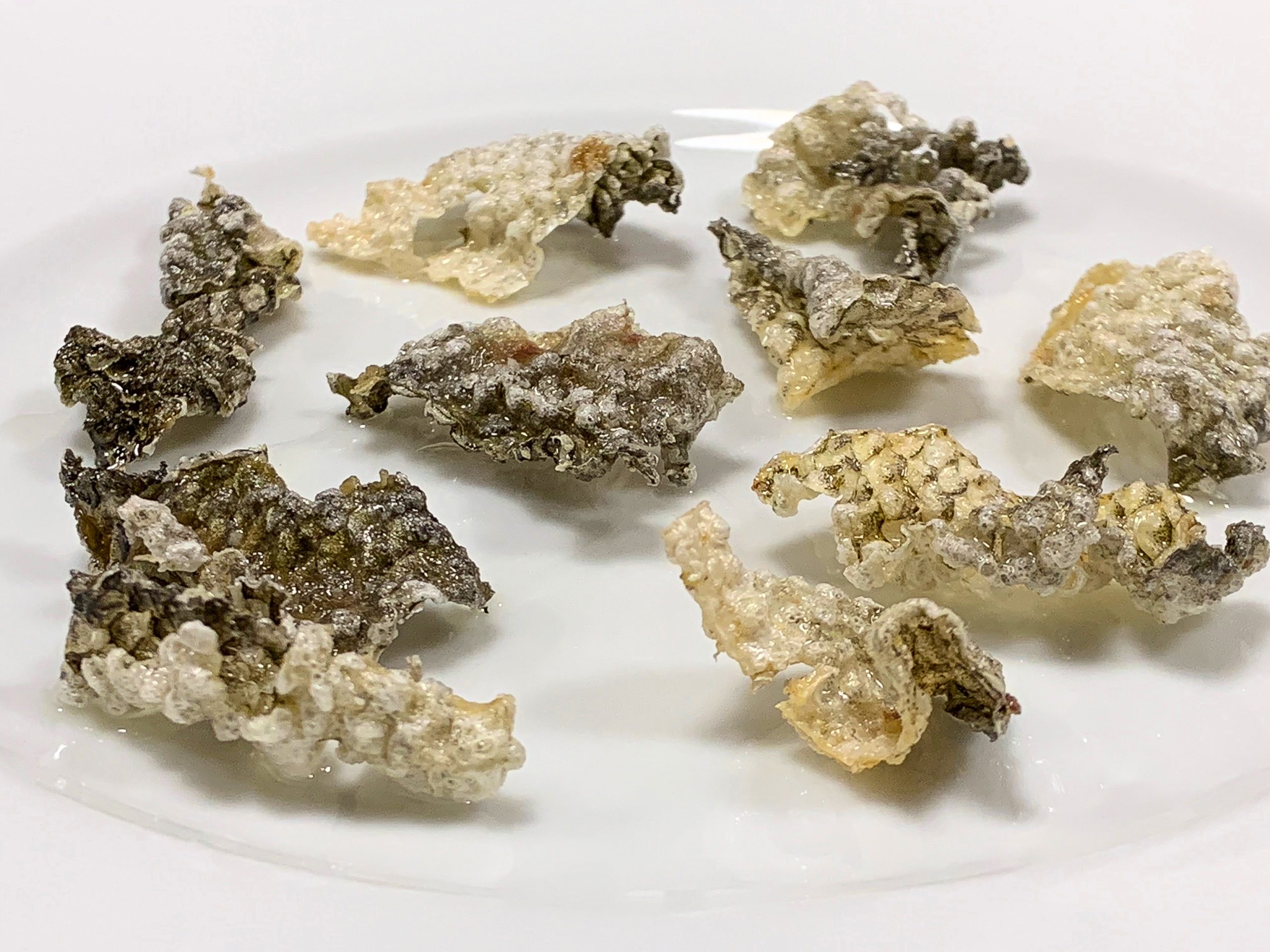 Fish-Skin Chicharrónes - On The Water