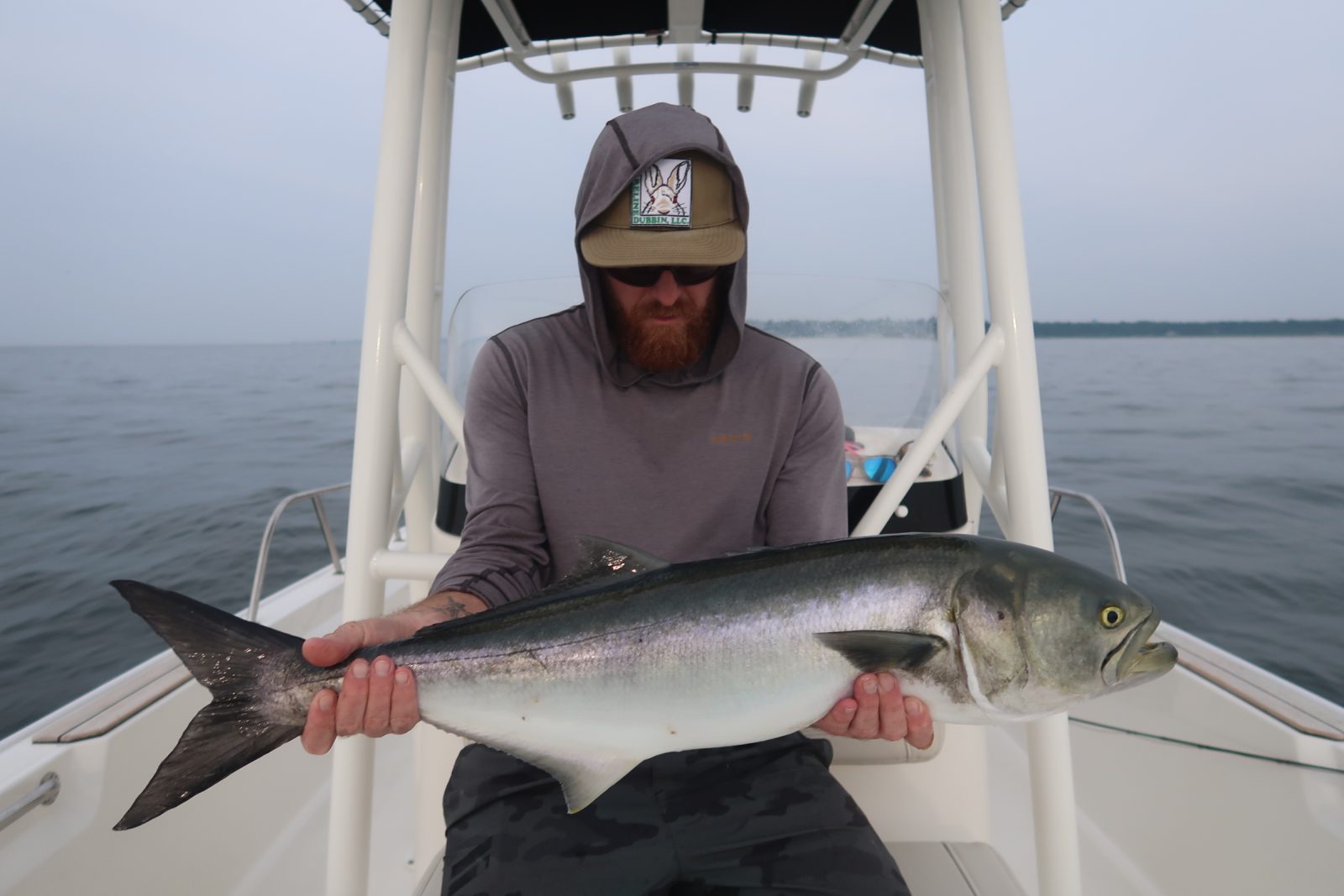 Bluefish on Bunker in Long Island Sound - On The Water