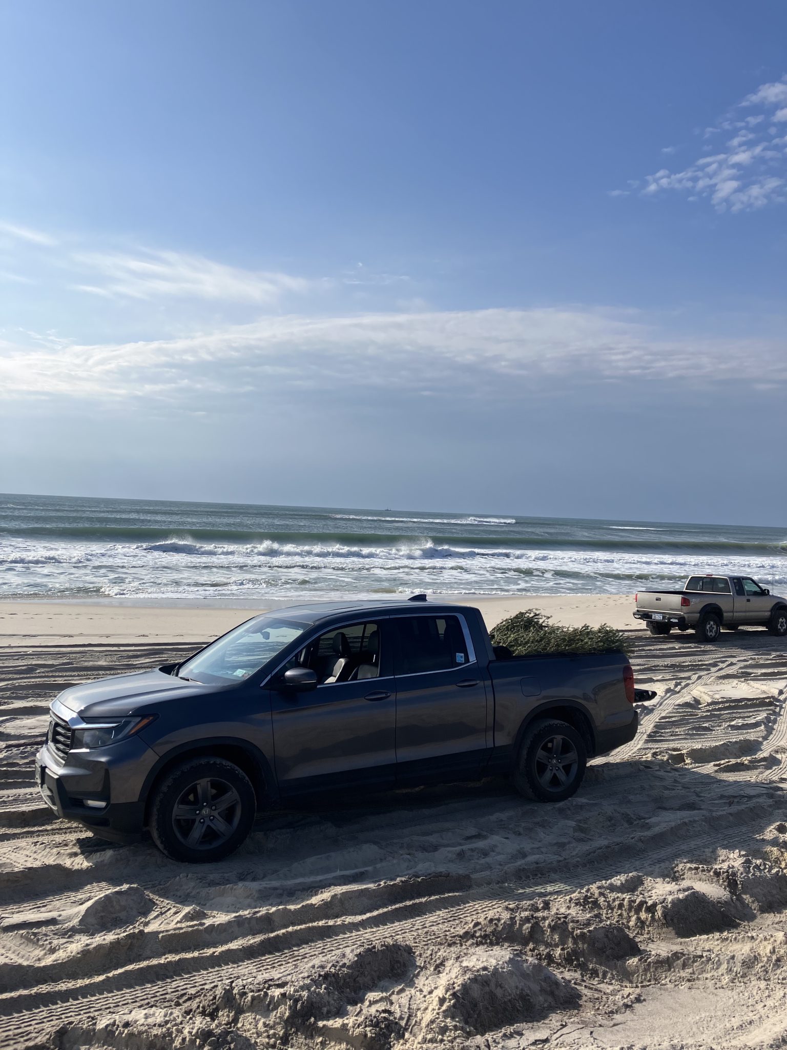 Long Island and NYC Fishing Report- February 29, 2024 - On The Water