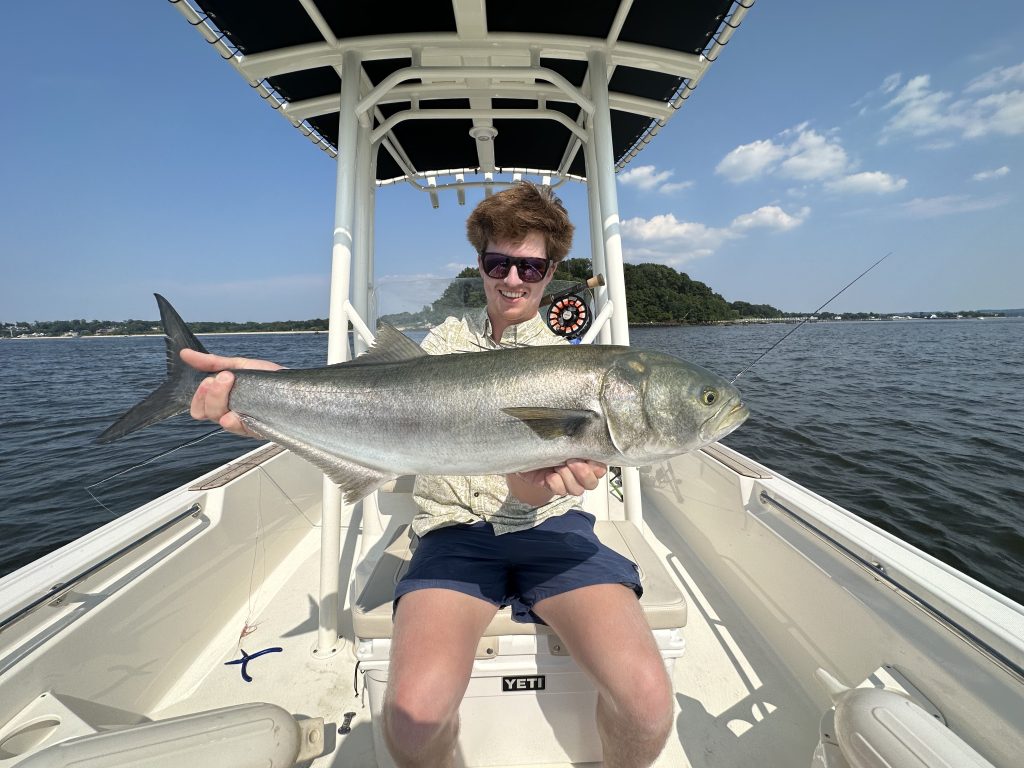 Bluefish on Bunker in Long Island Sound - On The Water