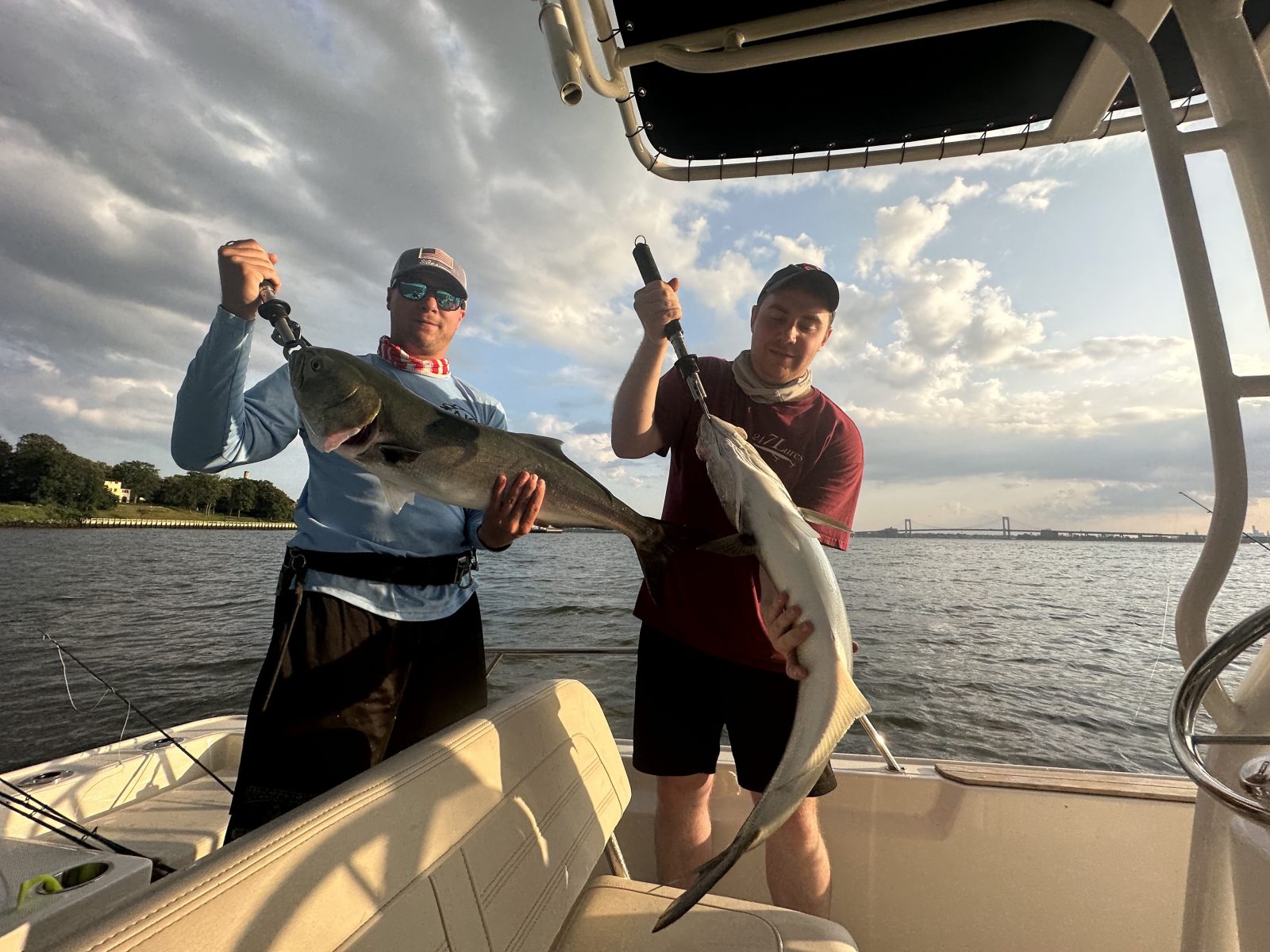 Bluefish on Bunker in Long Island Sound - On The Water