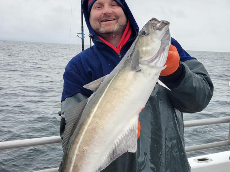 Reports – On The Water