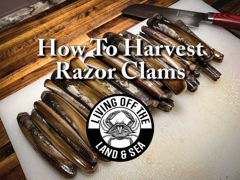 Cooking Archives - On The Water