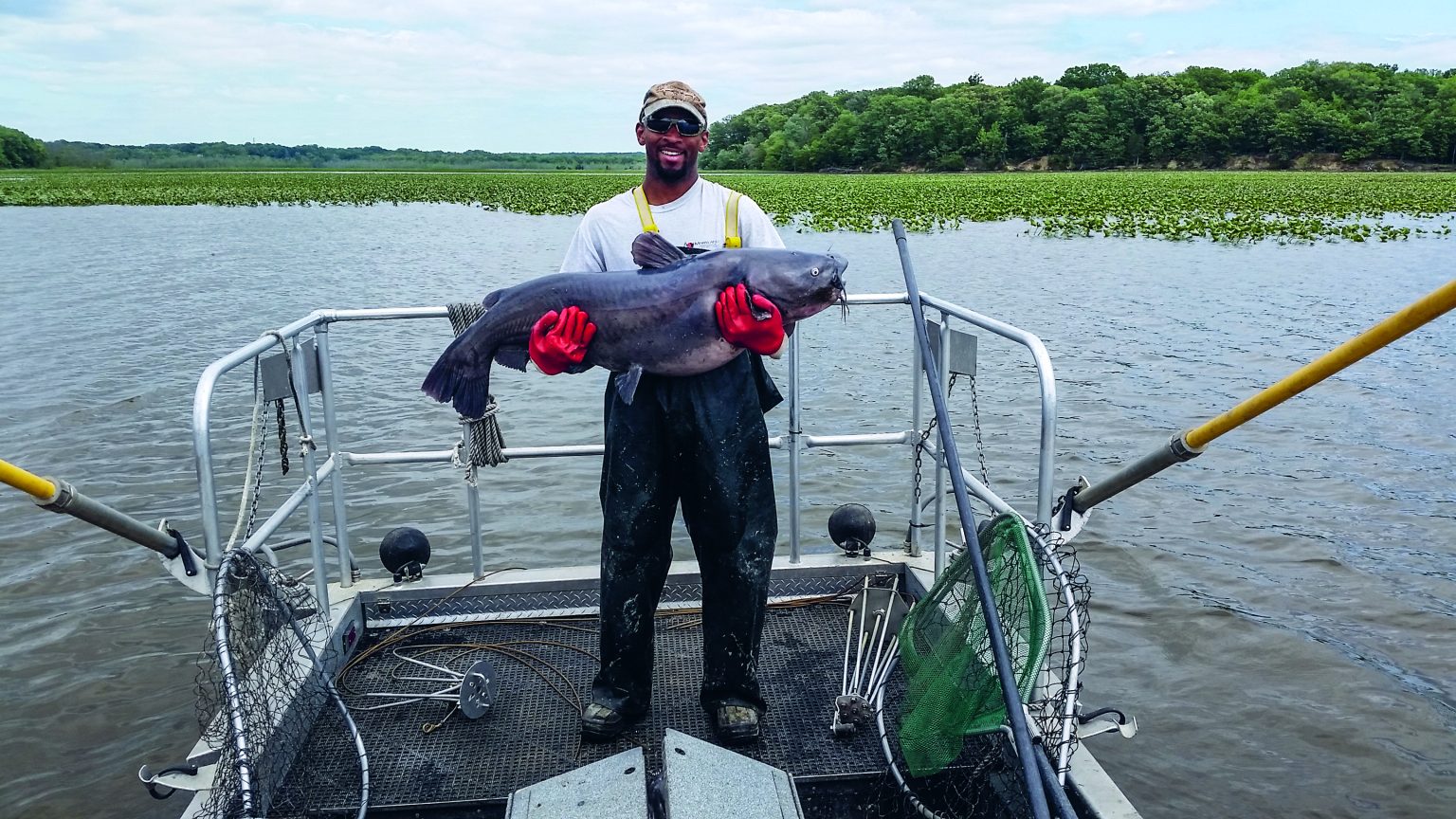 The Invasive Blue Catfish of Chesapeake Bay - On The Water